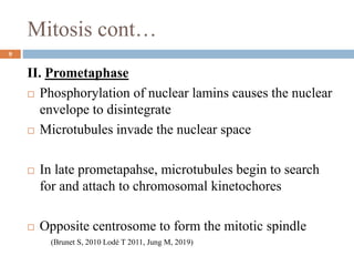 mitosis and Meiosis 2023.pptx