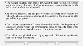 Mitosis and Meiosis Apoorva B. Vaghela | PDF