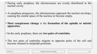 Mitosis and Meiosis Apoorva B. Vaghela | PDF