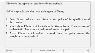 Mitosis and Meiosis Apoorva B. Vaghela | PDF