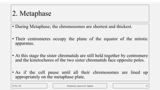 Mitosis and Meiosis Apoorva B. Vaghela | PDF