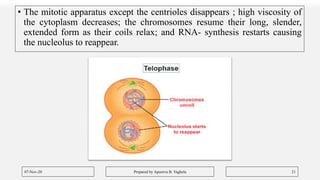 Mitosis and Meiosis Apoorva B. Vaghela | PDF