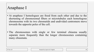 Mitosis and Meiosis Apoorva B. Vaghela | PDF