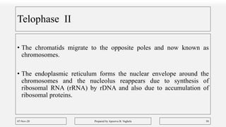 Mitosis and Meiosis Apoorva B. Vaghela | PDF