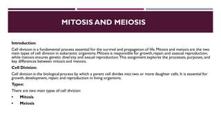 Type of Cell Division: Mitosis and Meiosis | PDF