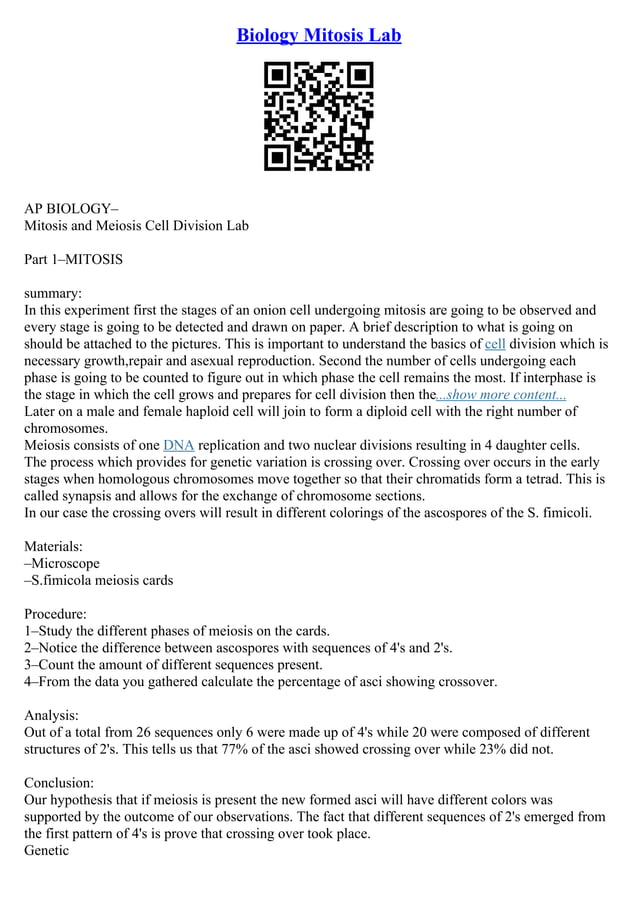 Mitosis And Meiosis Essay | PDF