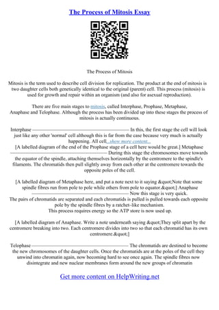 Mitosis And Meiosis Essay | PDF