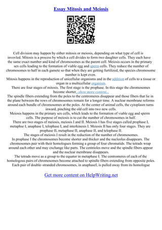 Mitosis And Meiosis Essay | PDF