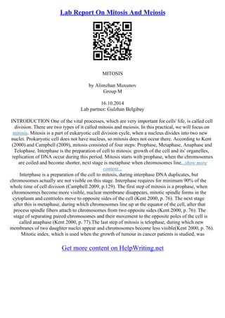 Mitosis And Meiosis Essay | PDF