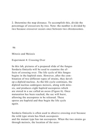 Mitosis and MeiosisExperiment 5 The Importance of Cell Cycl.docx