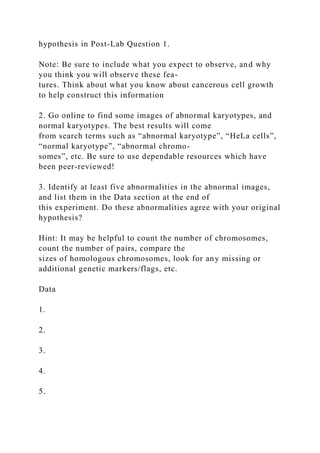 Mitosis and MeiosisExperiment 5 The Importance of Cell Cycl.docx