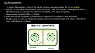 Cell cycle ( mitosis and meiosis)Msc.pptx
