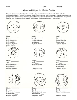 Meiosis Vs Mitosis Worksheet