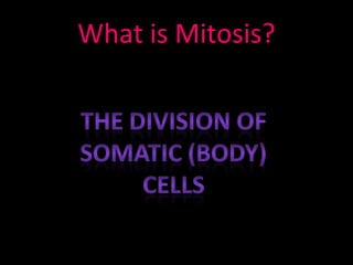 Mitosis: An Interactive PowerPoint | PPT