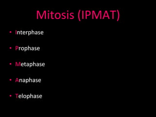 Mitosis: An Interactive PowerPoint | PPT