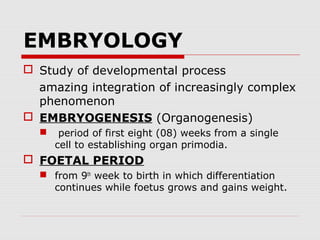 Embryology 1 | PPT