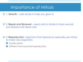Mitosis and meiosis slides | PPTX