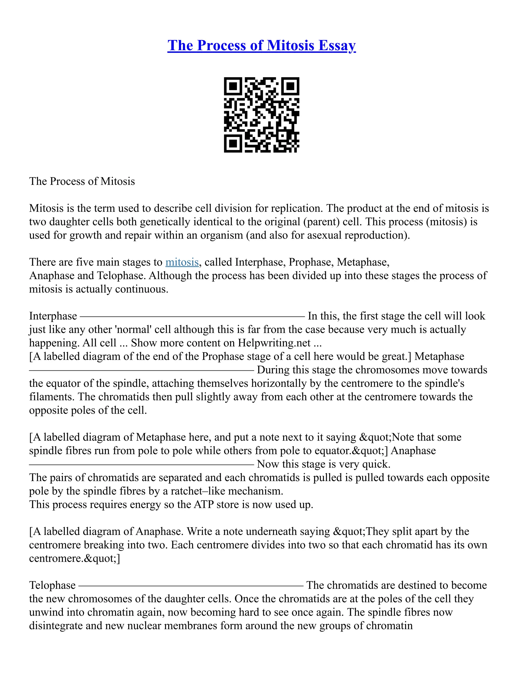 Mitosis And Phase Of Mitosis Essay | PDF