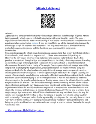 Mitosis And Phase Of Mitosis Essay | PDF