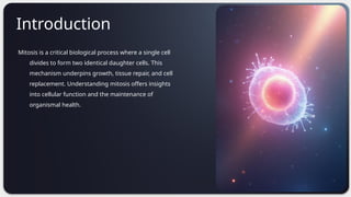 Mitosis Basics and Mitosis Ppt or pdf.pptx