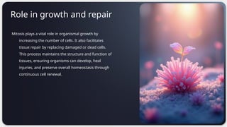 Mitosis Basics and Mitosis Ppt or pdf.pptx
