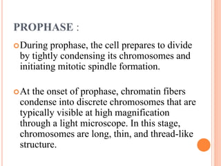 Mitosis (biology) | PPTX