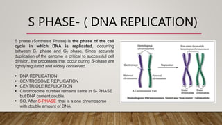 Mitosis division by Arifa Bee M.Sc. I year.pptx | Biological Sciences ...