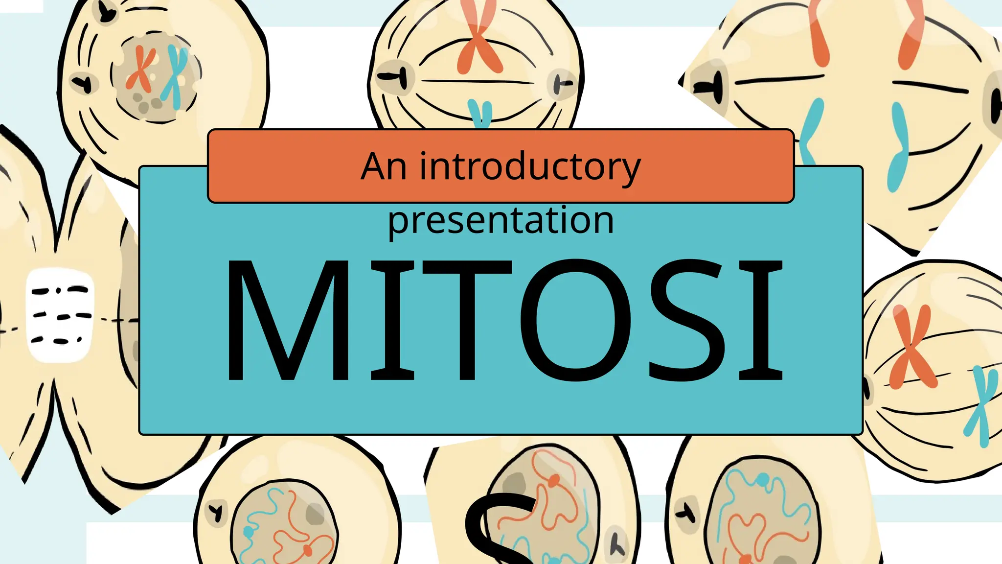 Mitosis Cell Division Biology Presentation in a Colorful Bold Style.pptx