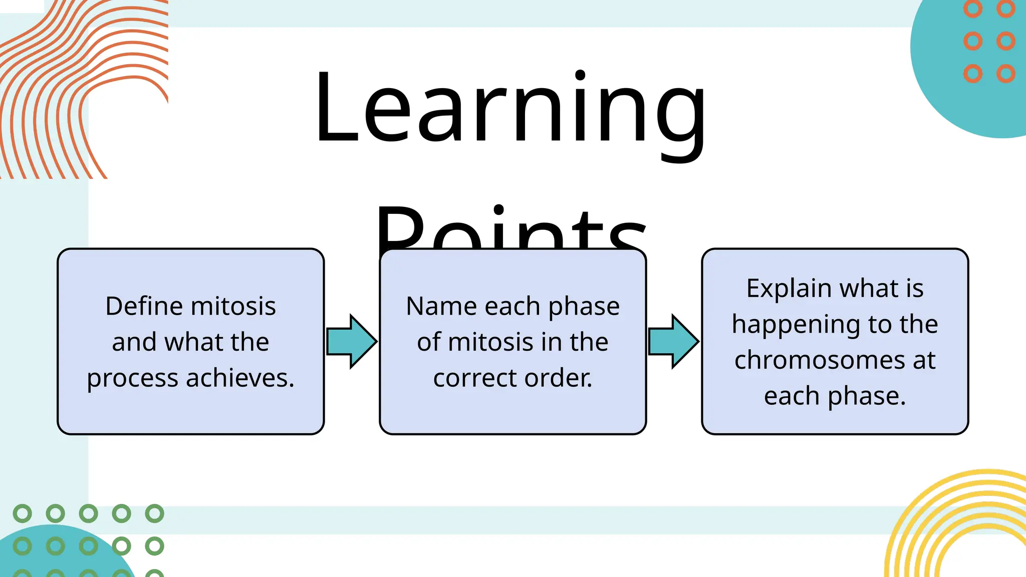 Mitosis Cell Division Biology Presentation in a Colorful Bold Style.pptx
