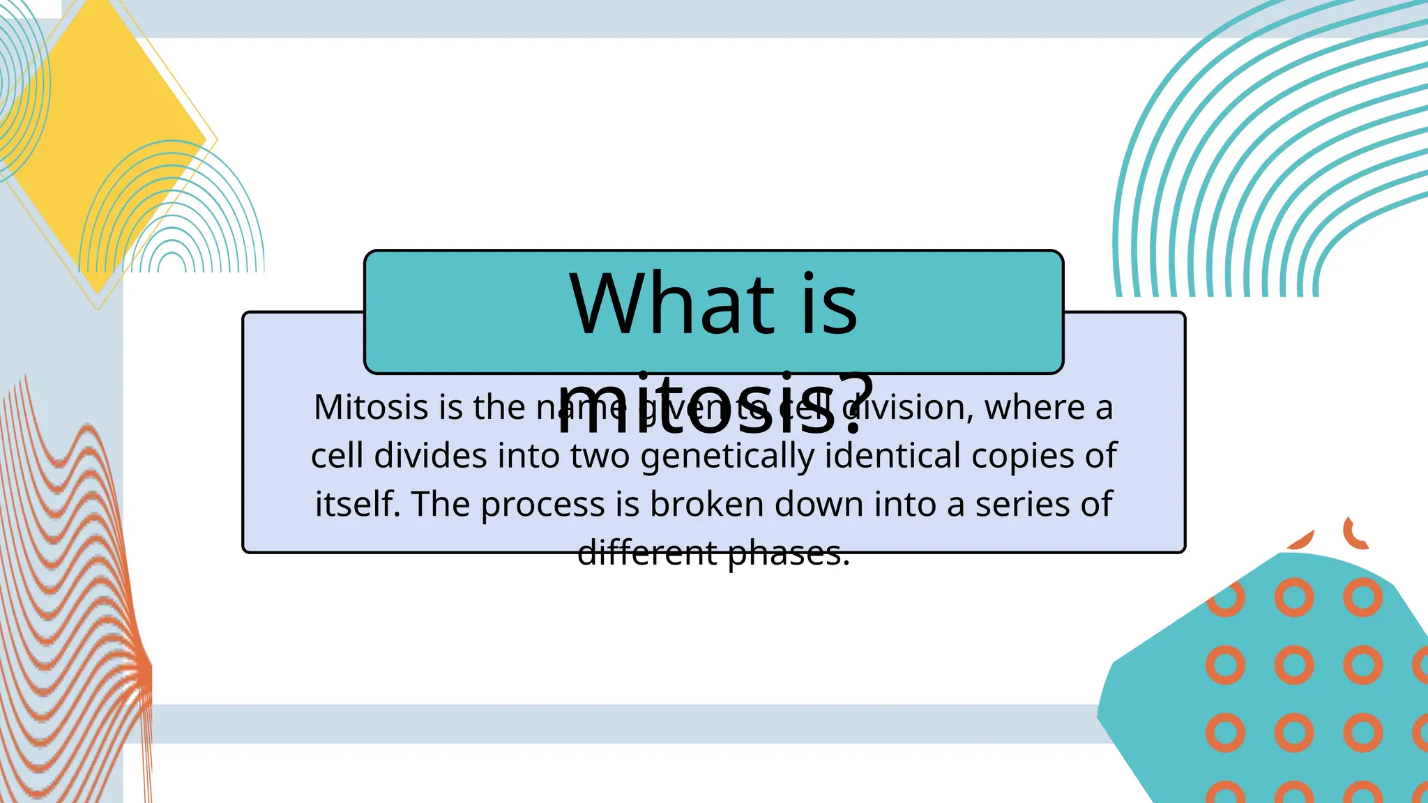 Mitosis Cell Division Biology Presentation in a Colorful Bold Style.pptx