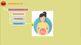 Mitosis Cell Division Biology Presentation in a Colorful Bold Style.pptx