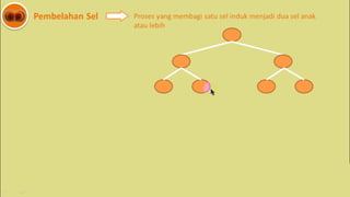 Mitosis Cell Division Biology Presentation in a Colorful Bold Style.pptx