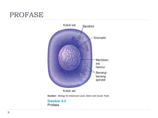 MITOSIS DAN MEIOSIS | PPTX