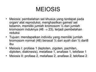 MITOSIS DAN MEIOSIS pada makluk hidup.ppt