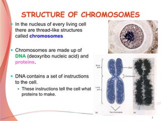 Mitosis details | PPTX