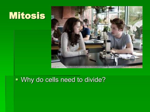 Mitosis final | PPT