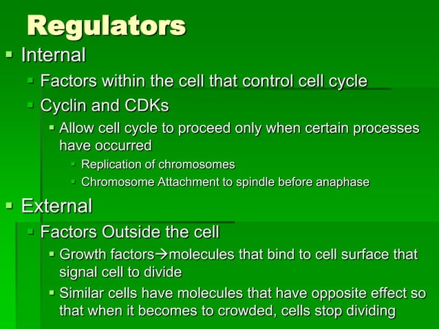 Mitosis final | PPT