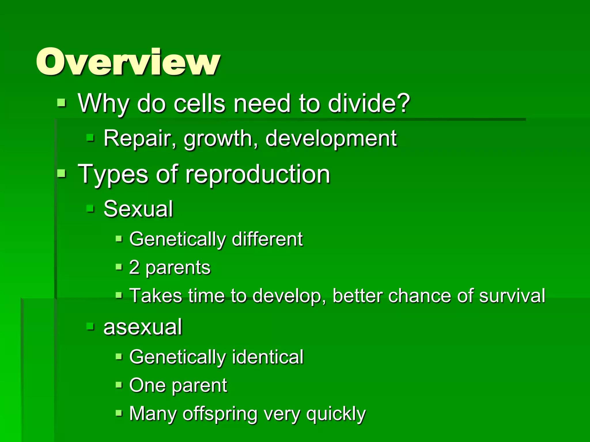 Mitosis final | PPTX