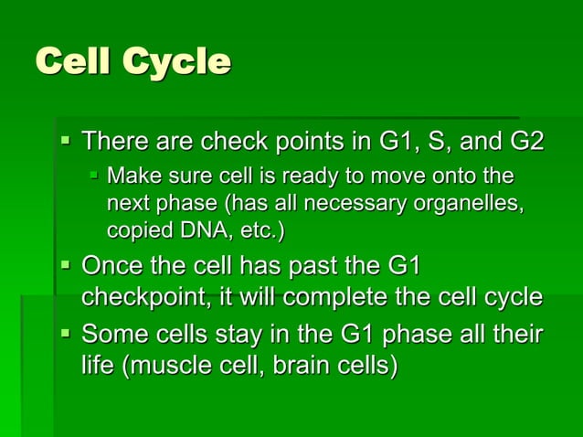 Mitosis final | PPT