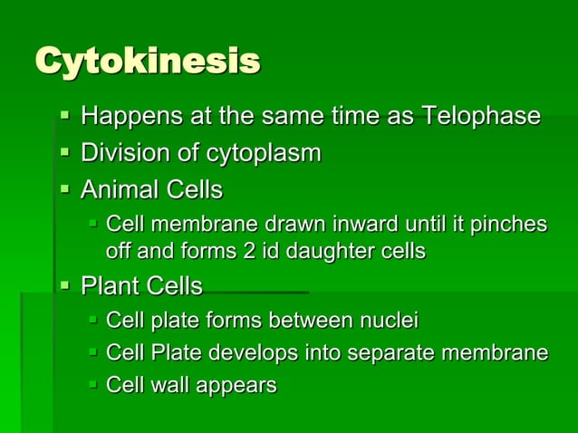 Mitosis final | PPT