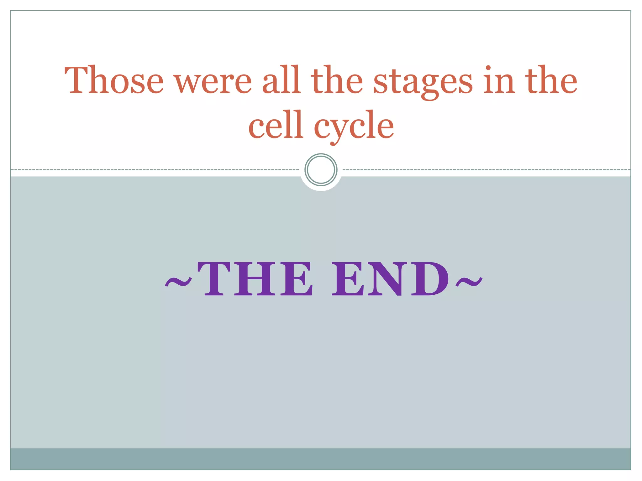 Mitosis Flip Book | PPTX