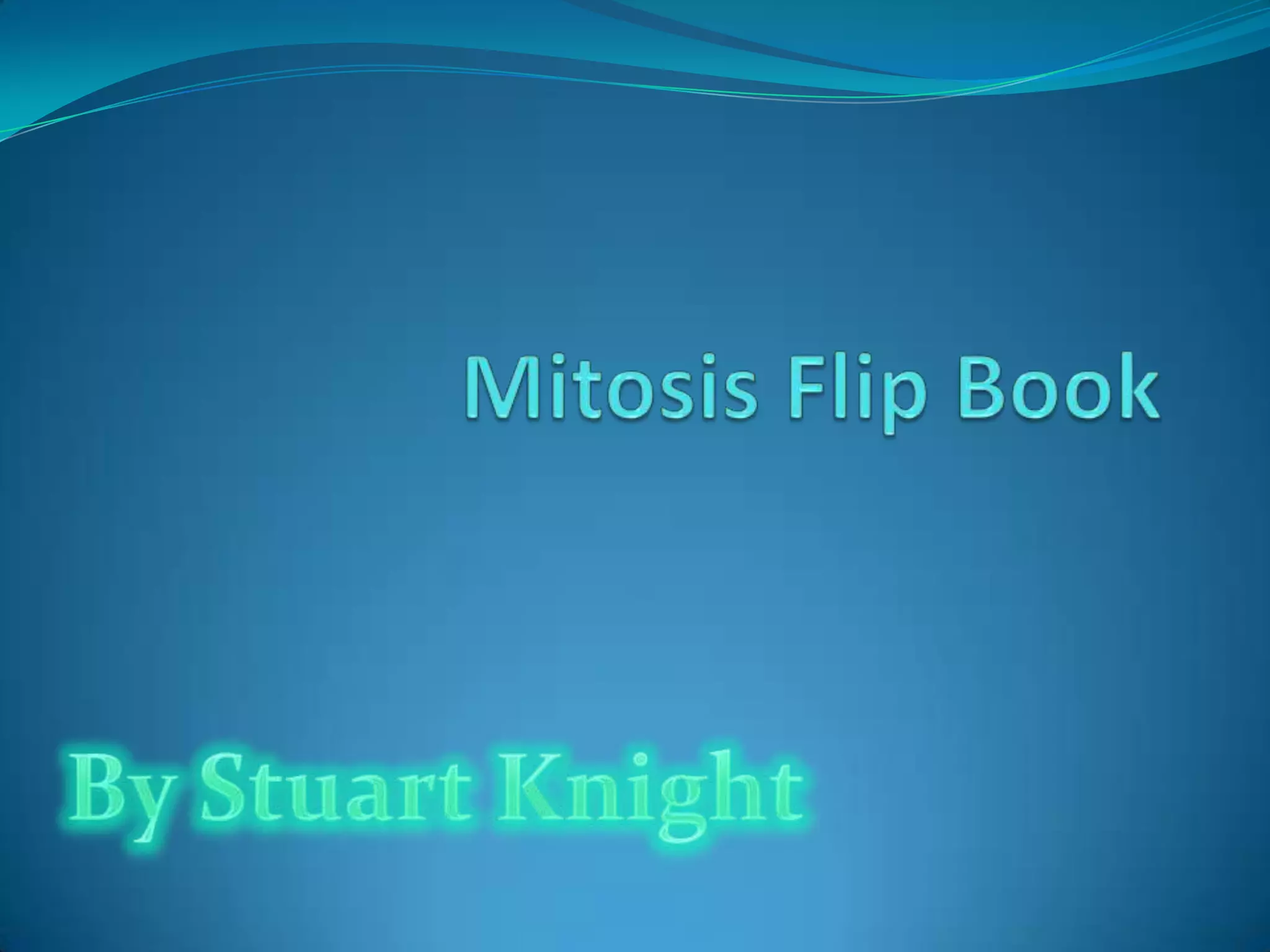 Mitosis Flip Book | PPTX