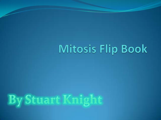 Mitosis Flip Book | PPTX