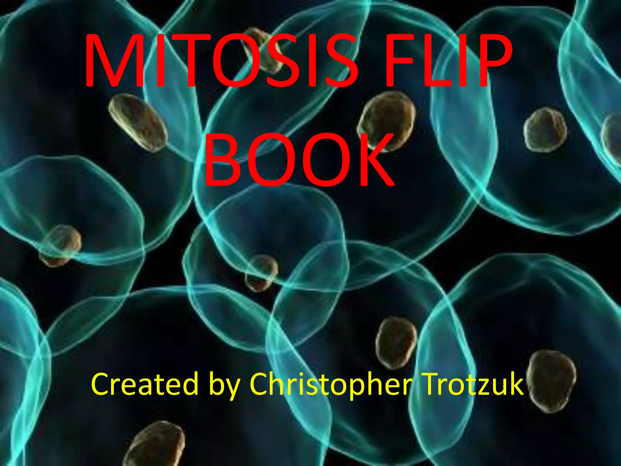 Mitosis Flip Book | PPTX