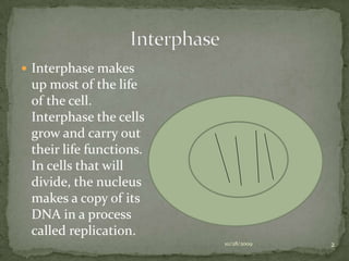 Mitosis Flipbook | PPTX | Biological Sciences | Science