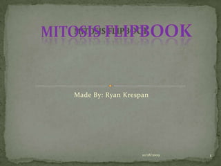 Mitosis Flipbook Explains Cell Division Stages | PPT