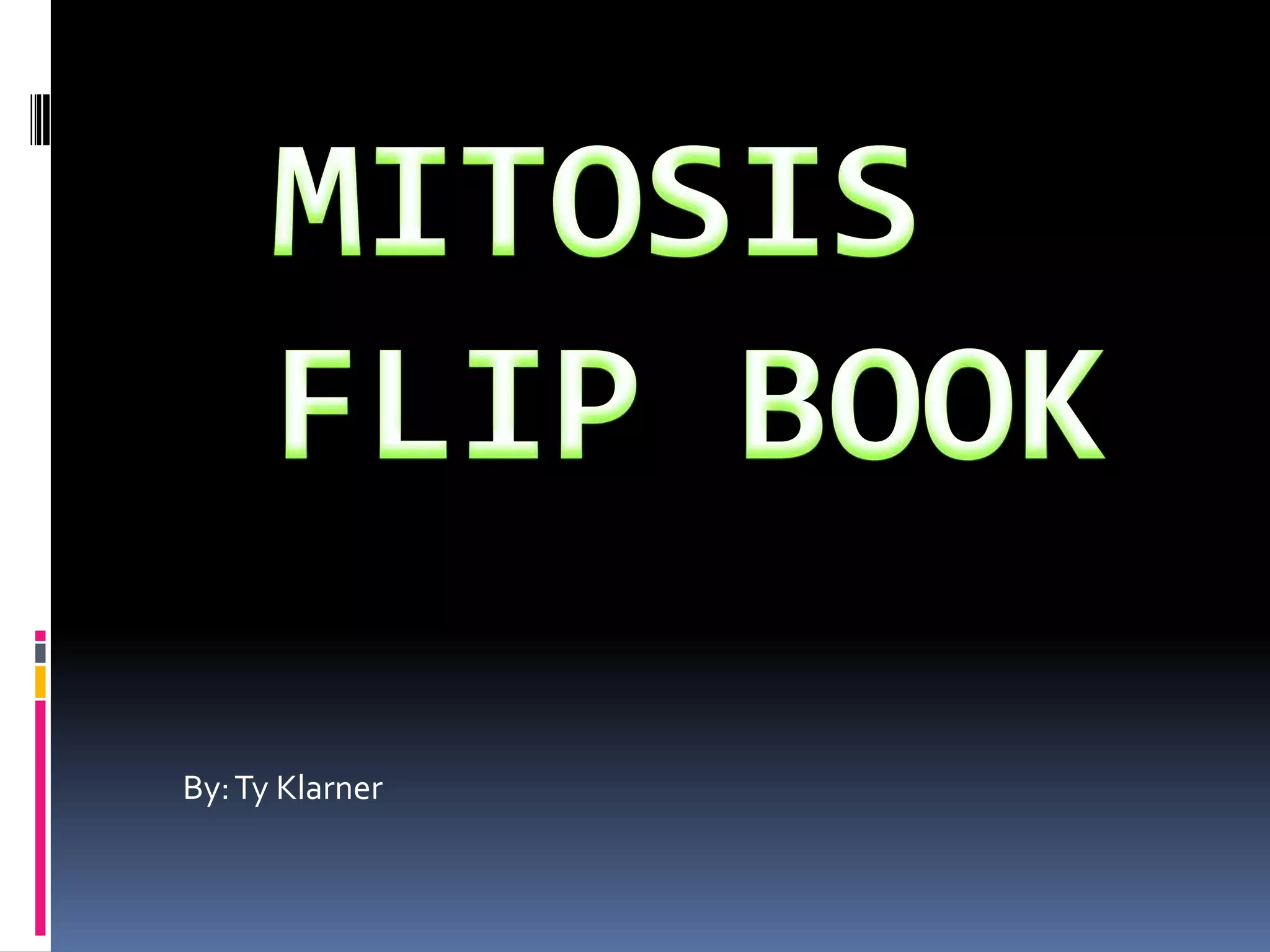 Mitosis Flip Book | PPTX