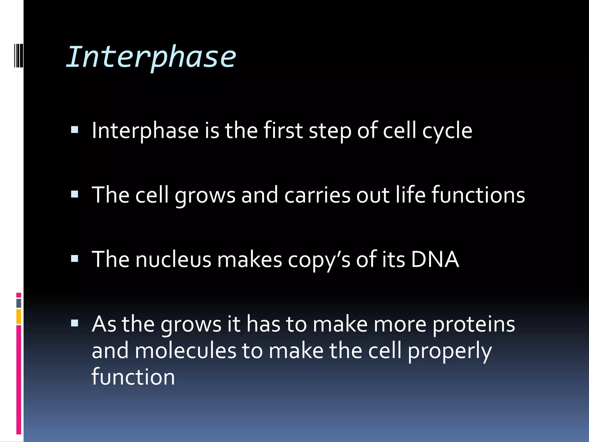 Mitosis Flip Book | PPTX