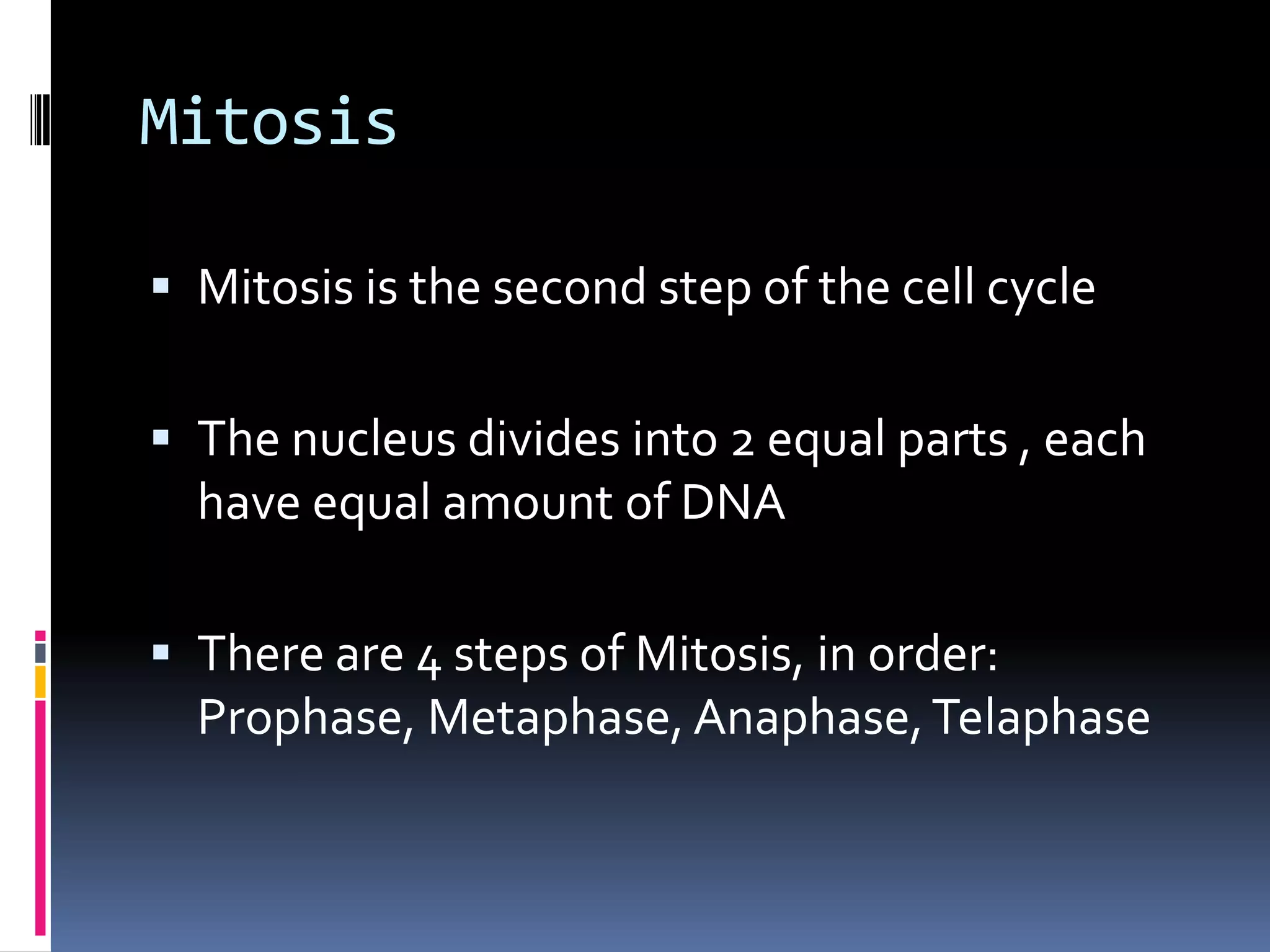 Mitosis Flip Book | PPTX