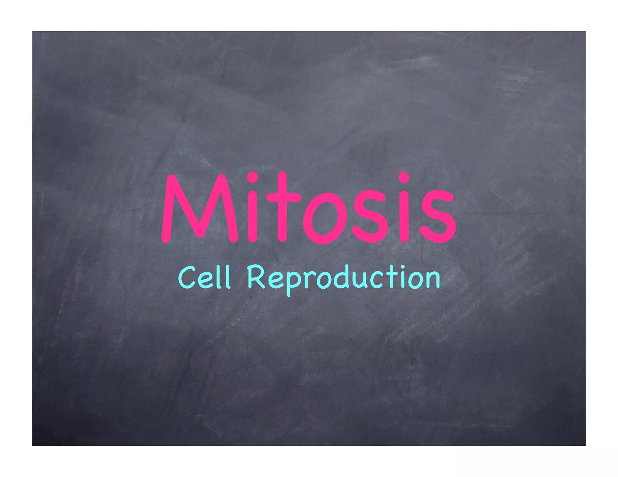 Mitosis | PDF | Biological Sciences | Science